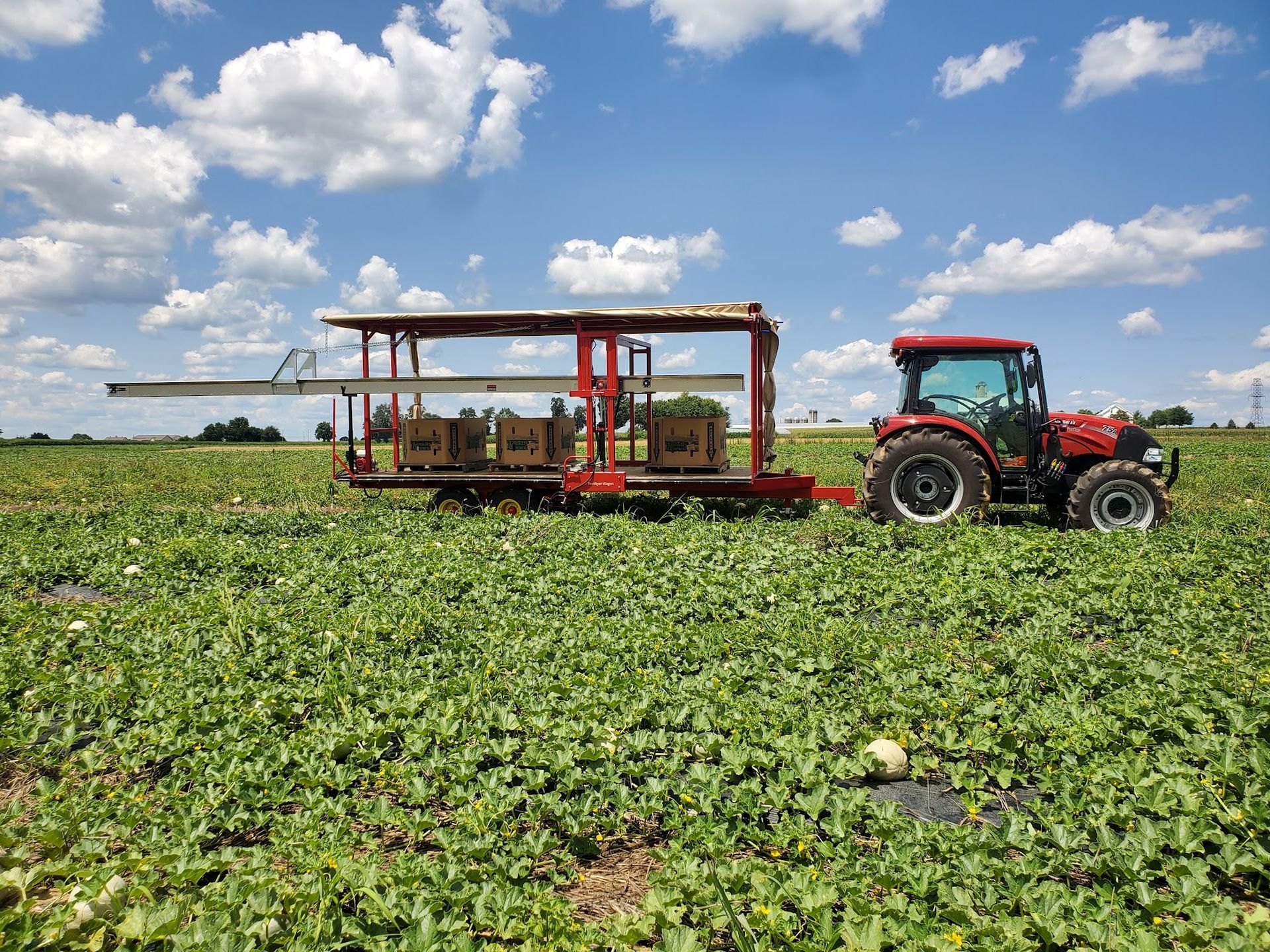 Produce Harvesting Products & Machinery - Harvest Pro Mfg