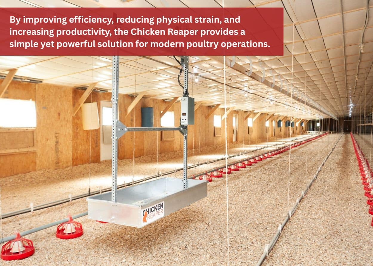 Poultry Trolley Systems: Boost Efficiency, Save Time, and Lower Labor ...